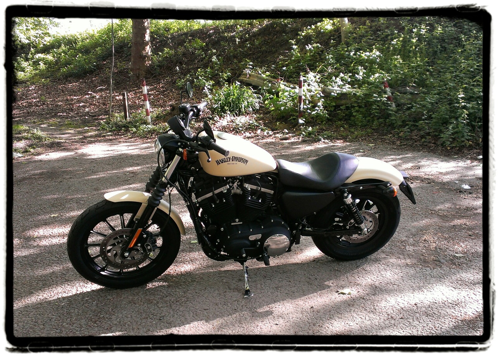 Review: Harley-Davidson Iron 883 – Team Throttle